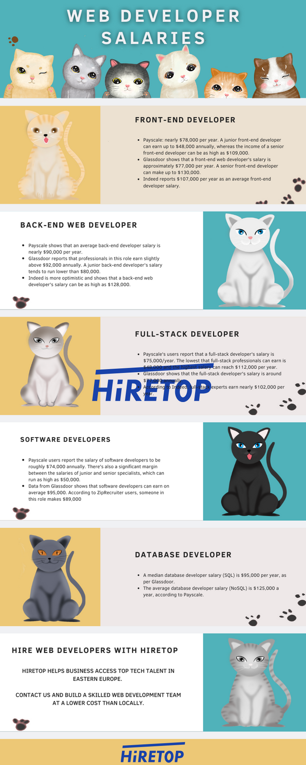 Everything you Need to Know About a Web Developer Salary